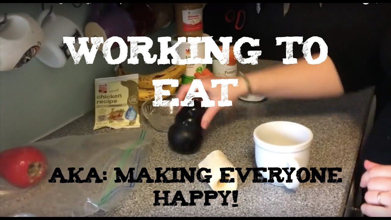Work to Eat- Kong Stuffing, Food Toys and DIY Puzzles for Enrichment ...