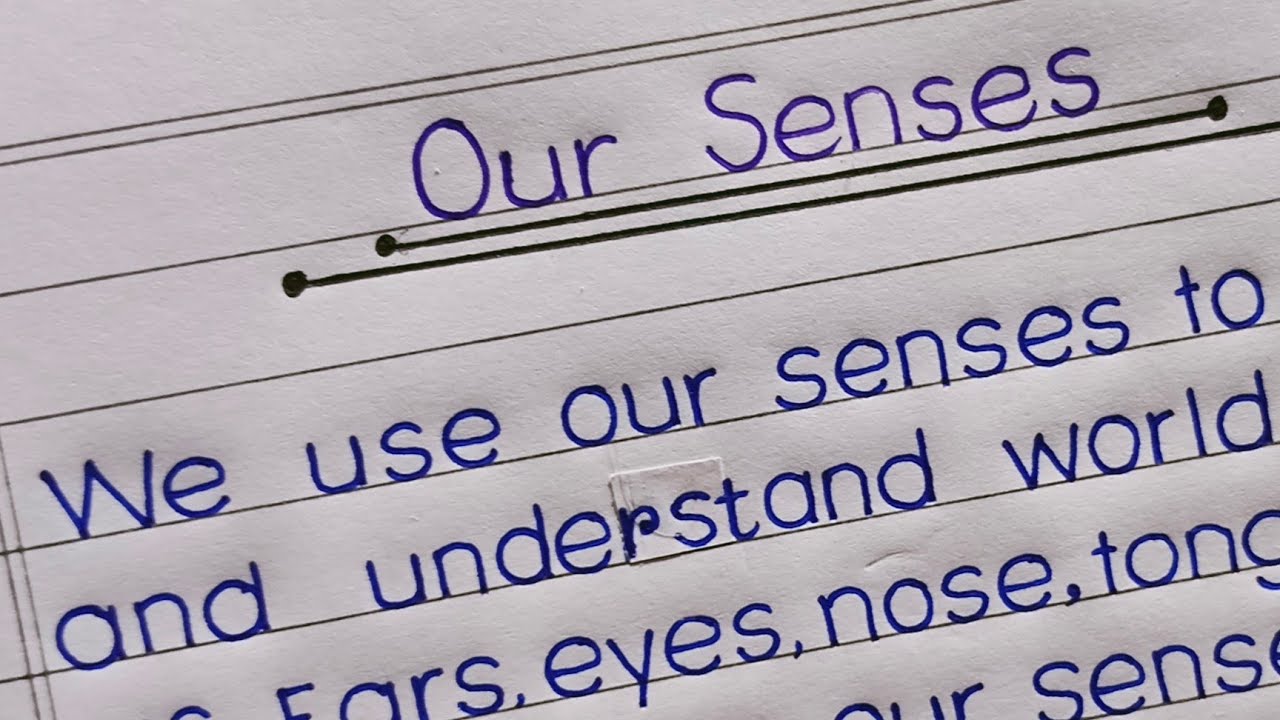 How to Write Few lines on Sense Organs || Our Sense Organs || - YouTube