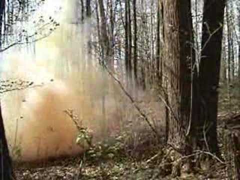 1.2lb High Explosive Rifle target cutting down a tree - YouTube