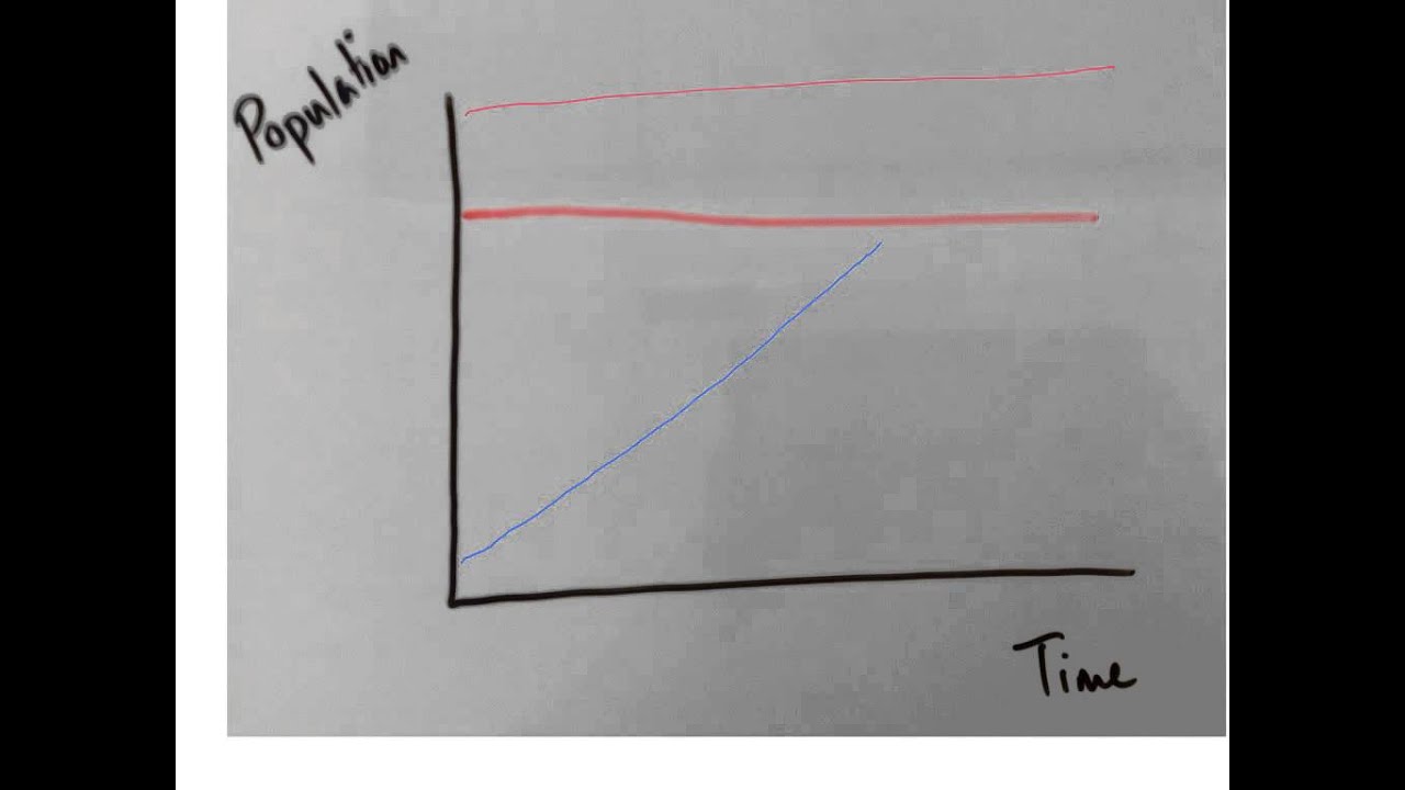 Boserup - An Optimistic Approach - YouTube