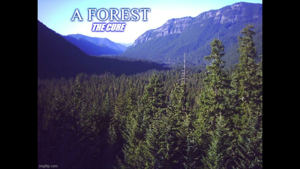 The Cure A Forest 1980 Hq Youtube