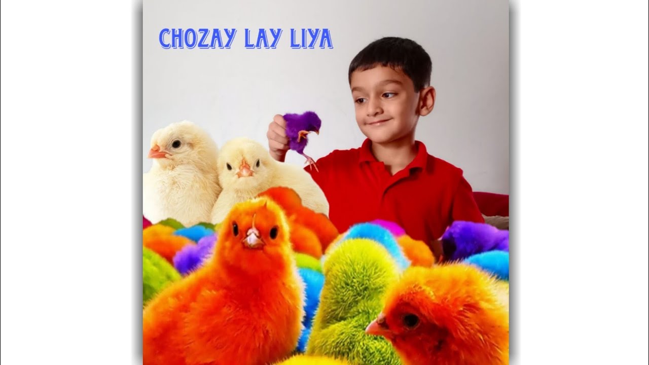 chozay lay Liya #trending #viral #video #choza #animals #home - YouTube