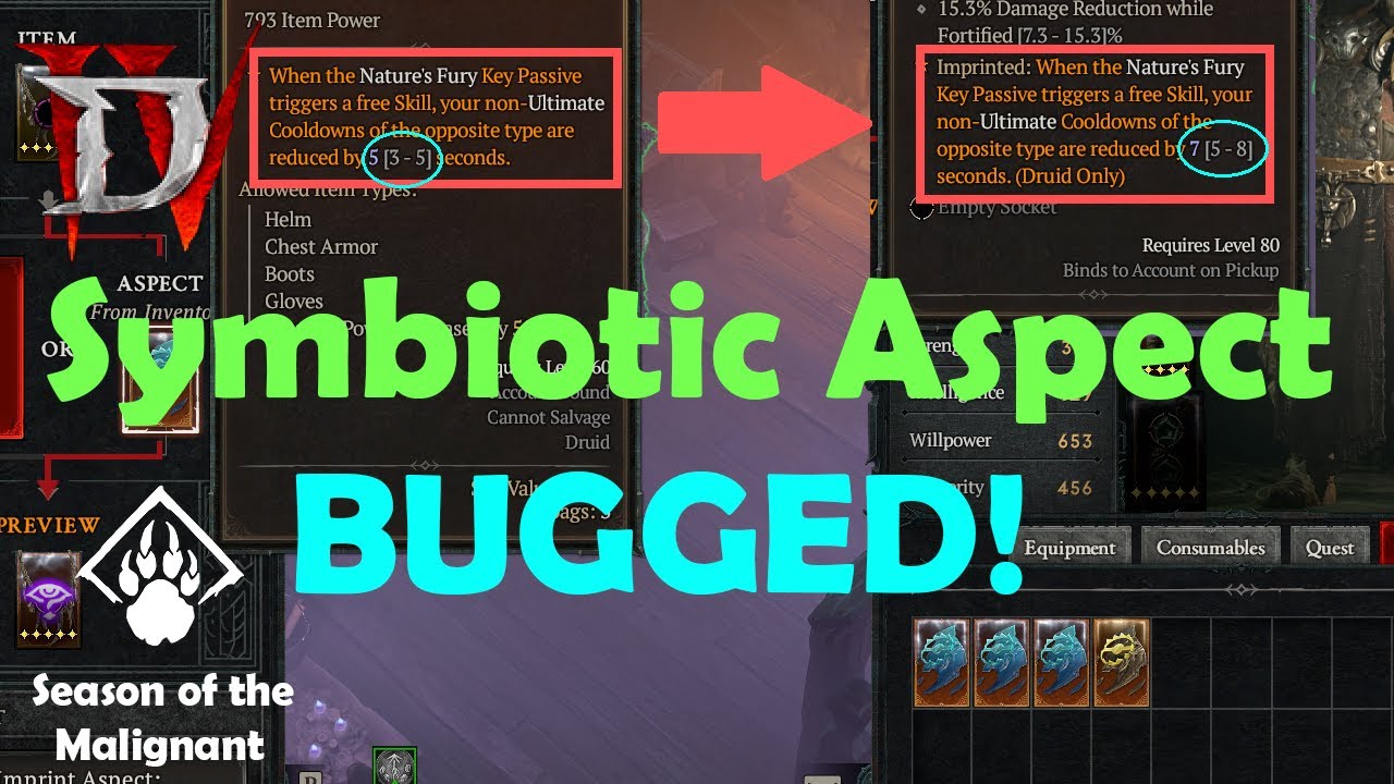 Diablo 4 Symbiotic Aspect Bug Explained Earthen Bulwark Druid - YouTube