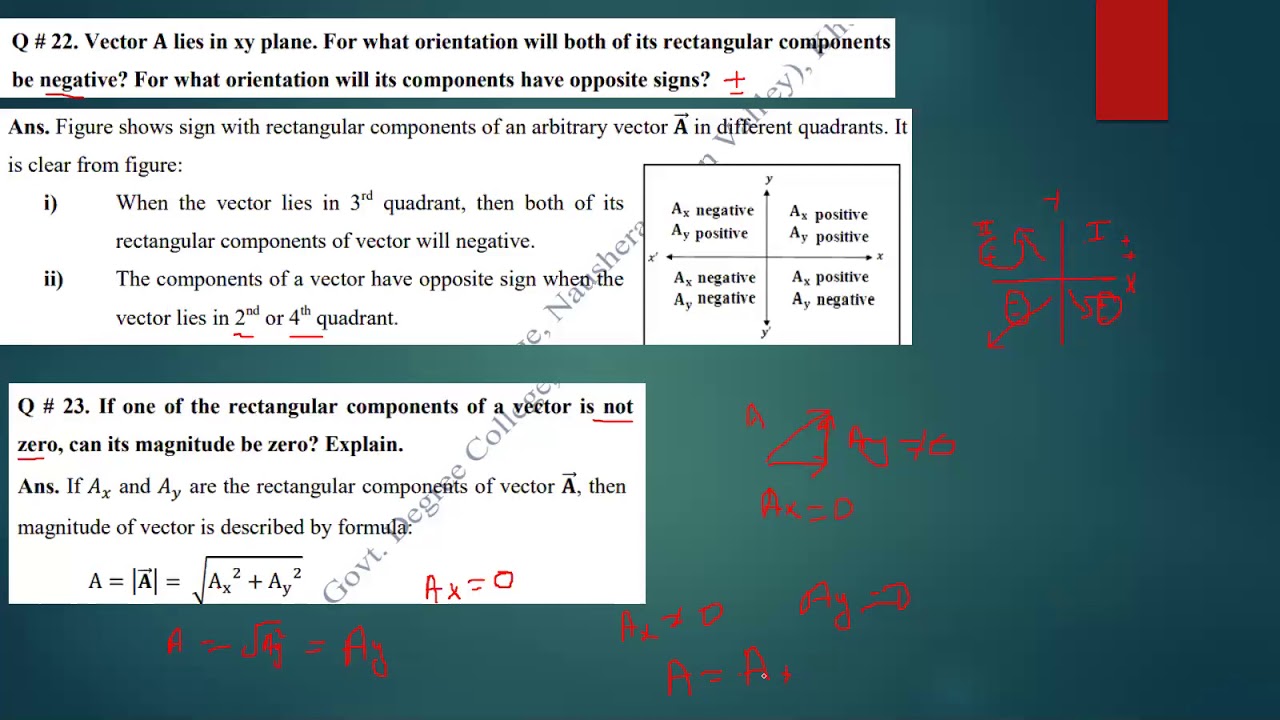 2.1 Basic Concepts Of vectors Exercise Short Questions - YouTube