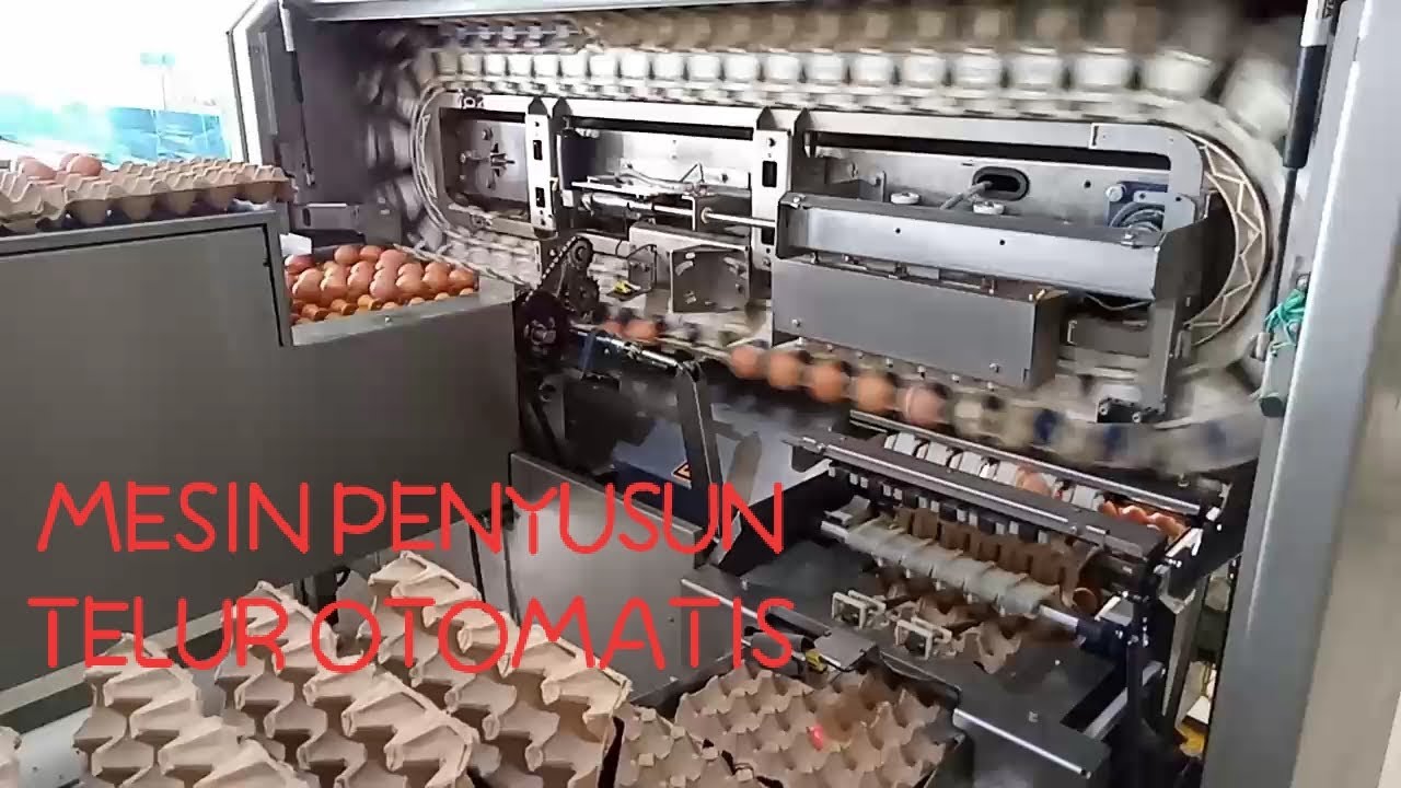 MESIN CANGGIH packing telur - YouTube