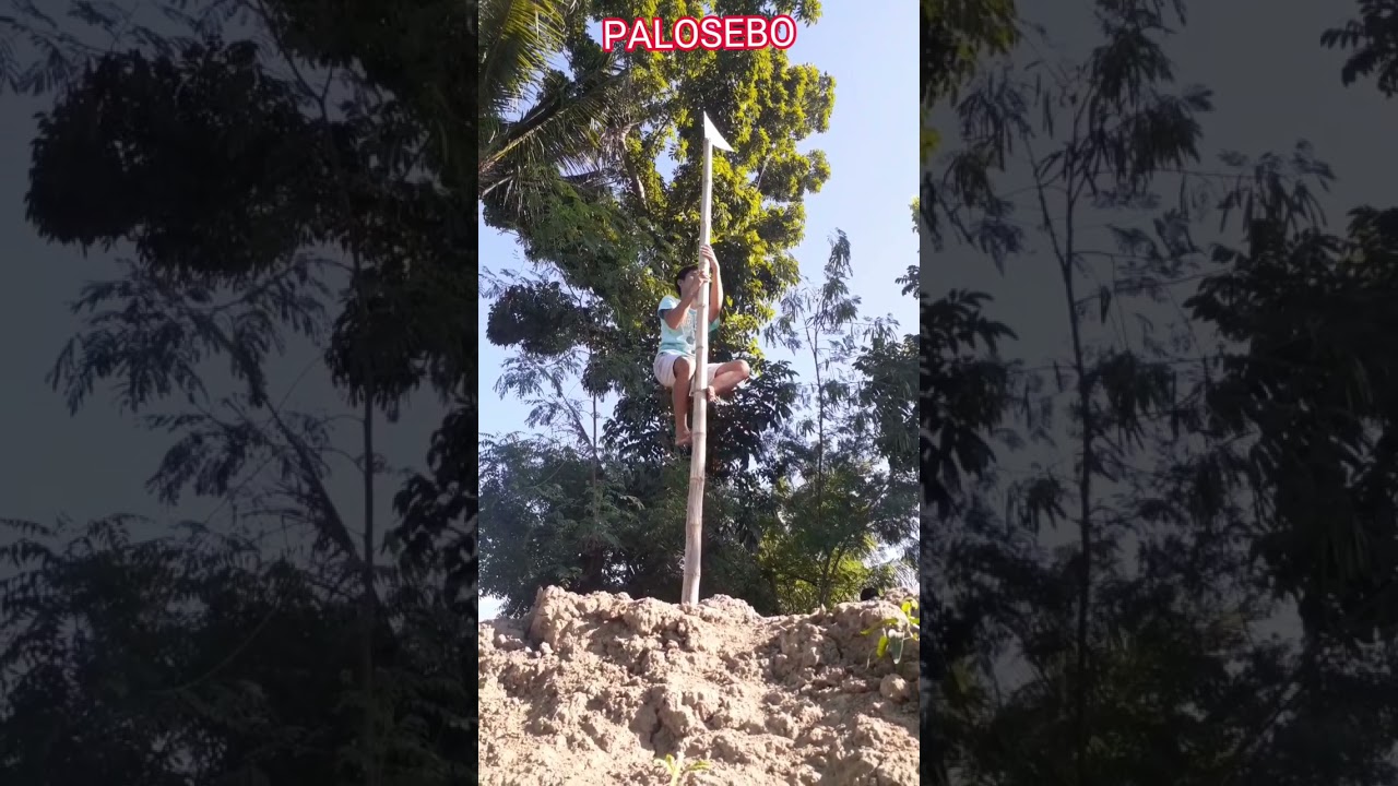 ( PHILIPPINE TRADITIONAL GAMES). LUKSONG TINIK, PALOSEBO, LUKSONG BAKA ...