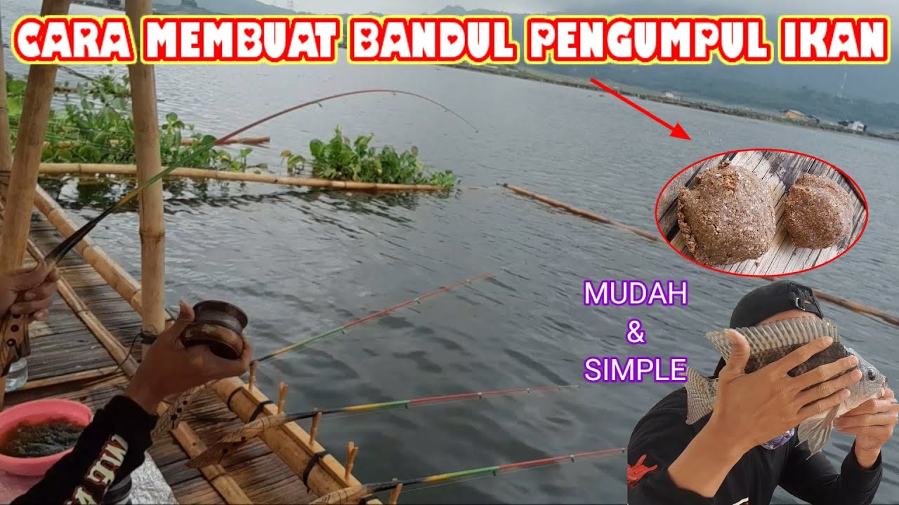 CARA MEMBUAT BANDUL ATAU PELET PENGUMPUL IKAN YANG BAIK DAN BENAR - YouTube