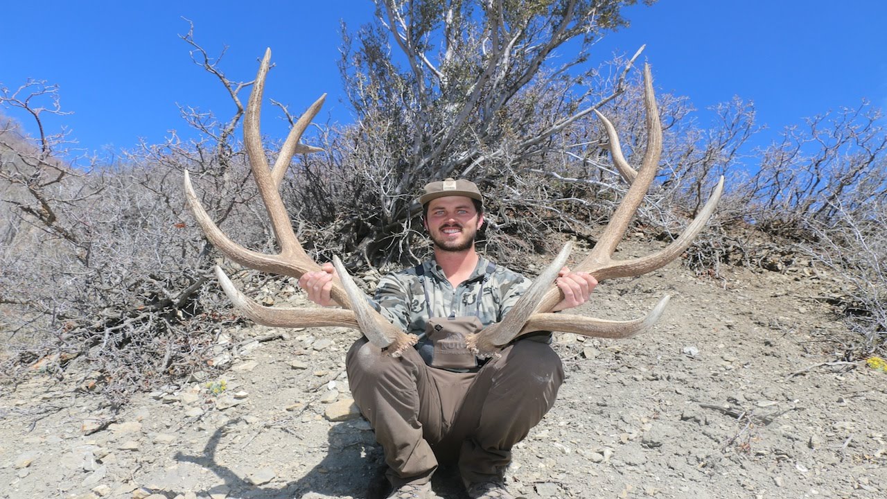 SHED HUNTING | MATCH ELK SET | - YouTube