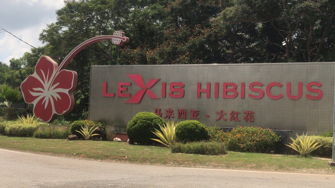 Lexis Hibiscus Pd Review - YouTube