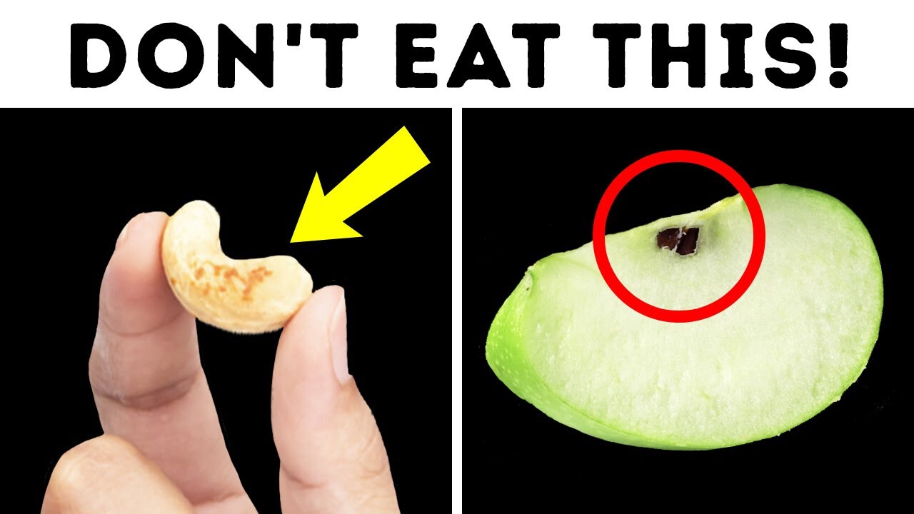 100+ Unusual Facts You Didn't Know You Wanted to Know - YouTube