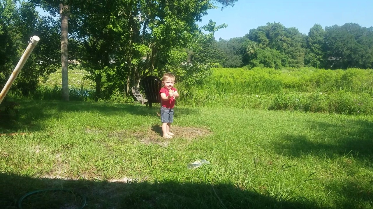 Little Boy chasing butterfly - YouTube