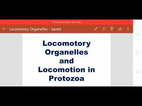 Locomotory Organelle and Locomotion - YouTube