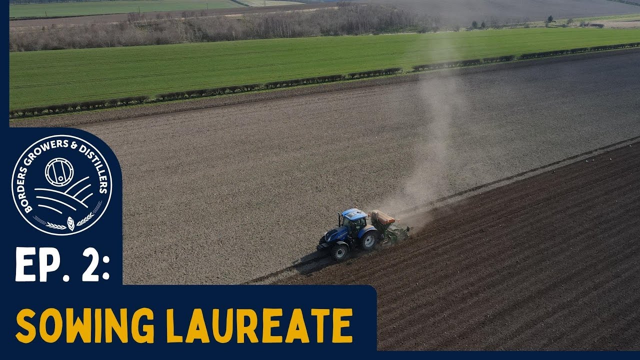 Sowing Laureate Spring Barley | From Seed To Spirit - YouTube