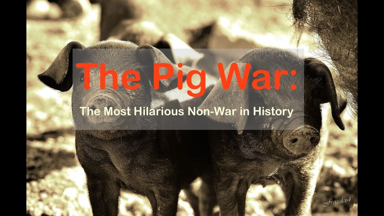 The Pig War: The Most Hilarious Non-War in History - YouTube