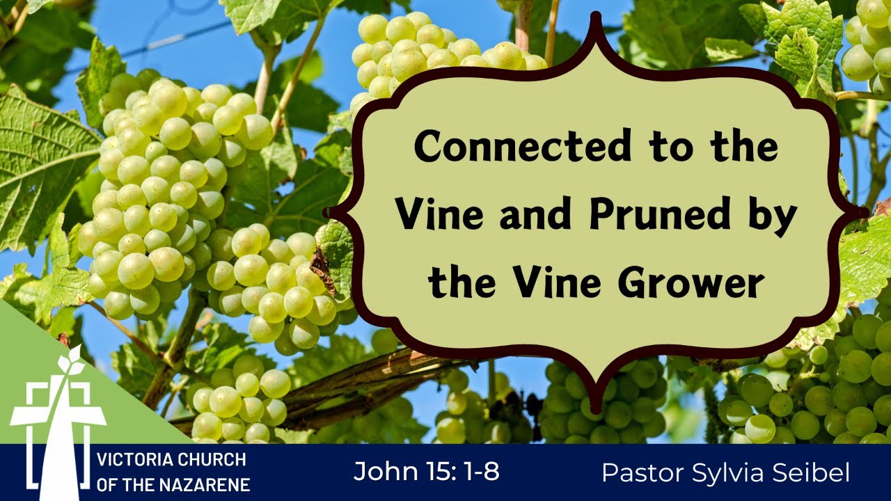 Connected to the Vine, Pruned by the Vine Grower | Mar 3, 2024 ...