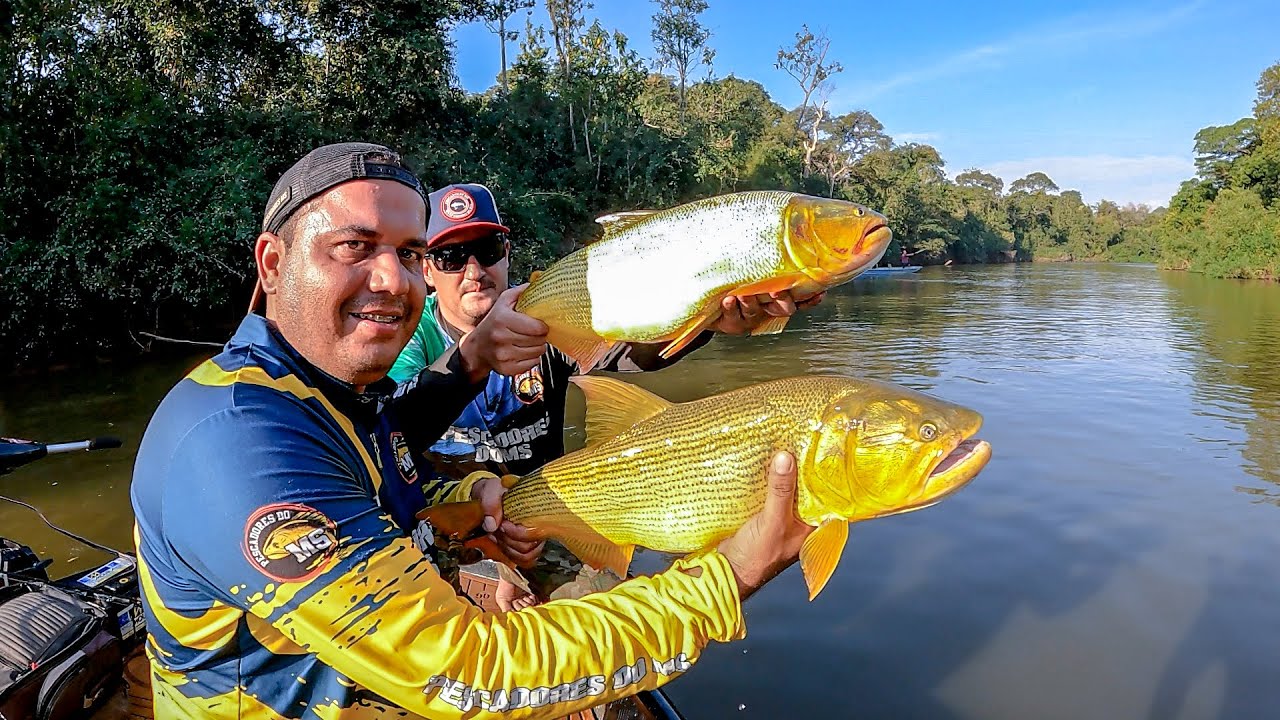 MAIOR CARDUME DE DOURADOS GRANDES QUE JA VIMOS !! - YouTube
