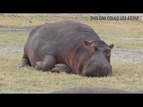 Ngorongoro Crater June 2023