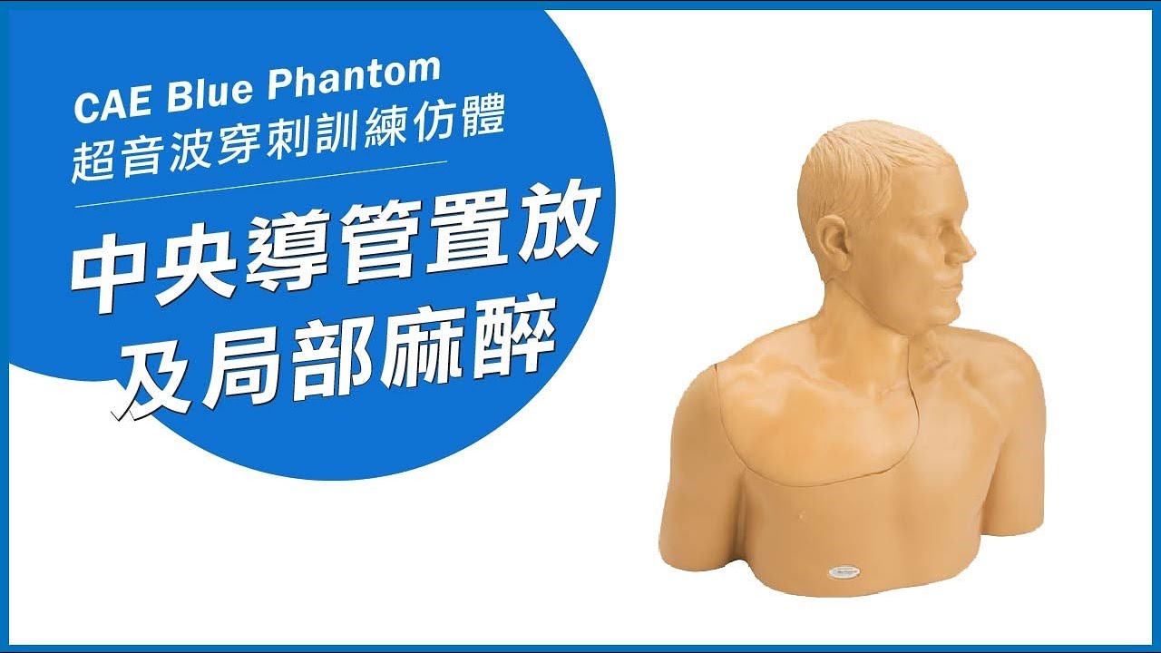 CAE Blue Phantom 超音波導引中央靜脈導管放置和局部麻醉訓練模型CVC Ultrasound Central Line ...