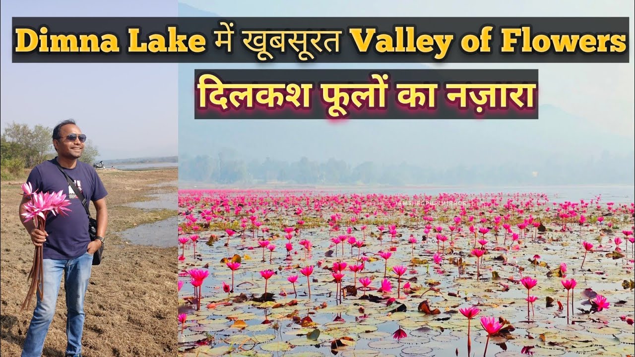 Picnic Spot in Dimna Lake #dimnalake #jamshedpur - YouTube