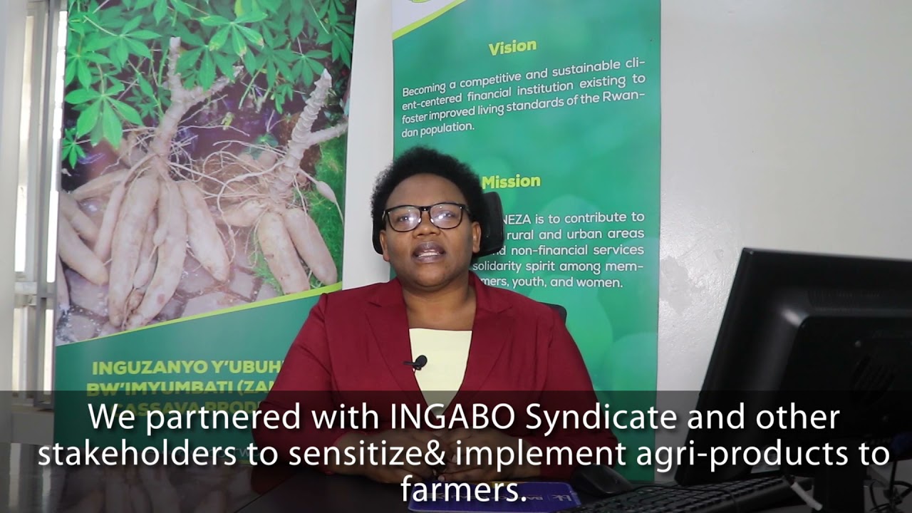 Cassava value chain development in Rwanda - YouTube