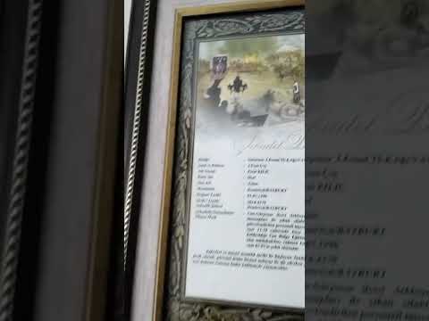 canım dayım benim seni çok özledim lütfen geri dön lütfen dayıcım 😥😖😞🥲🥰