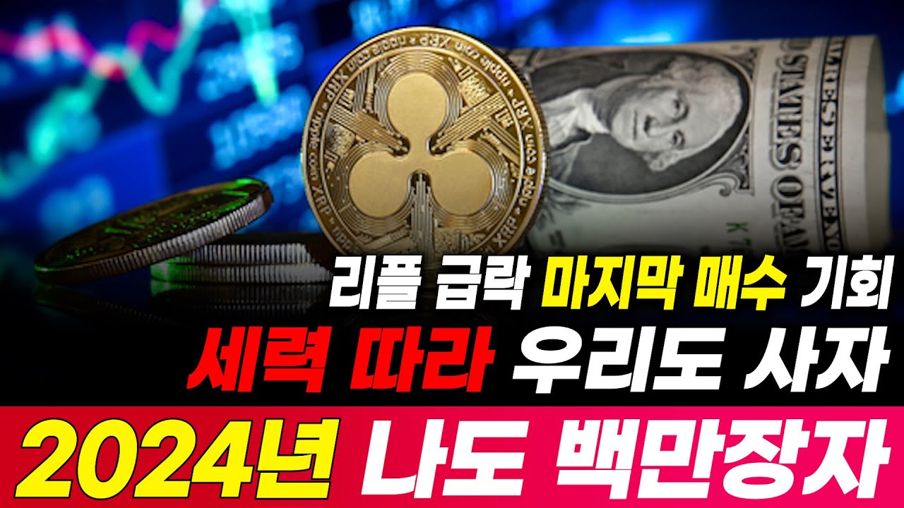 리플 비트코인 이더리움 도지코인 2024년 Xrp는 사상최고치 기록백만장자 될 수 있는 기회 리플 리플코인 리플전망