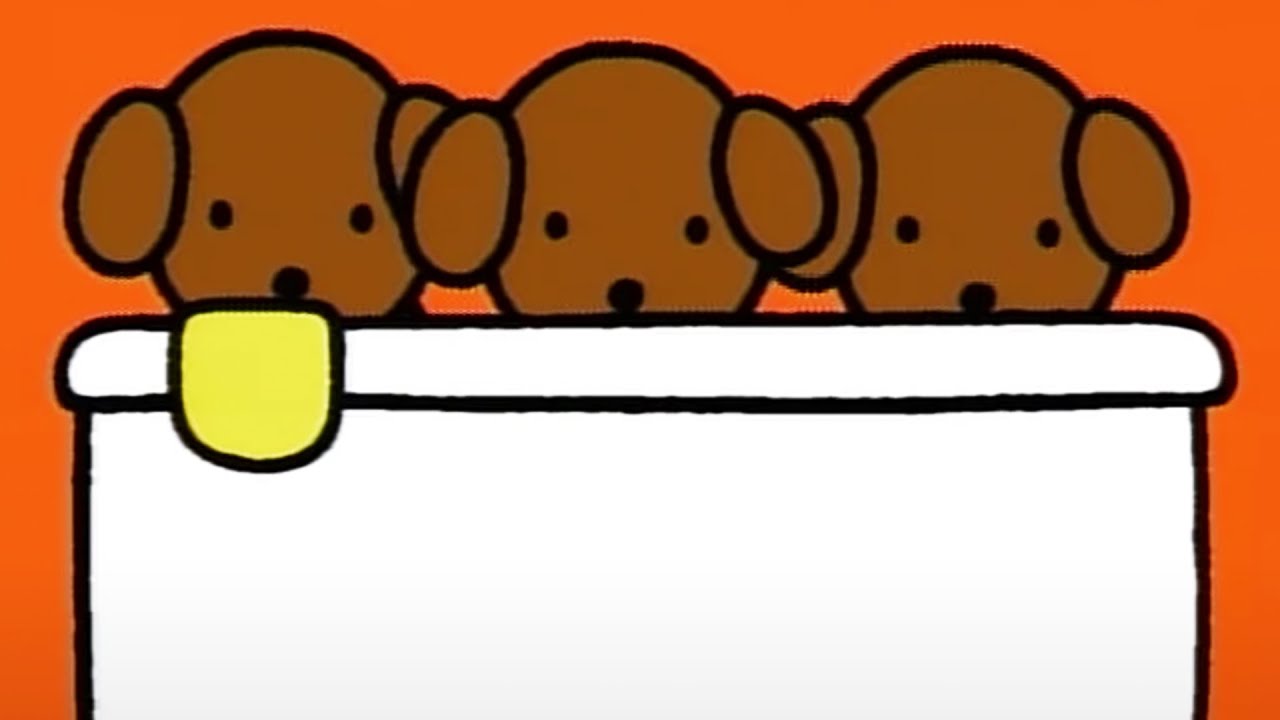 Like It or Not? | Colours, Numbers and Shapes | Miffy | Shows For Kids ...