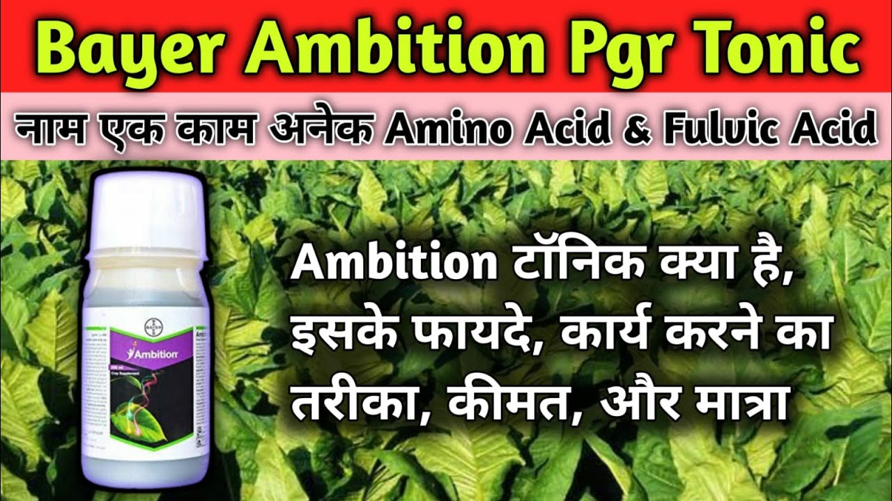 Ambition Tonic । Bayer Ambition Tonic । Humic Acid । Fulvic Acid । Dose ...