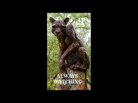 Benson Sculpture Garden #short  - A Must See!