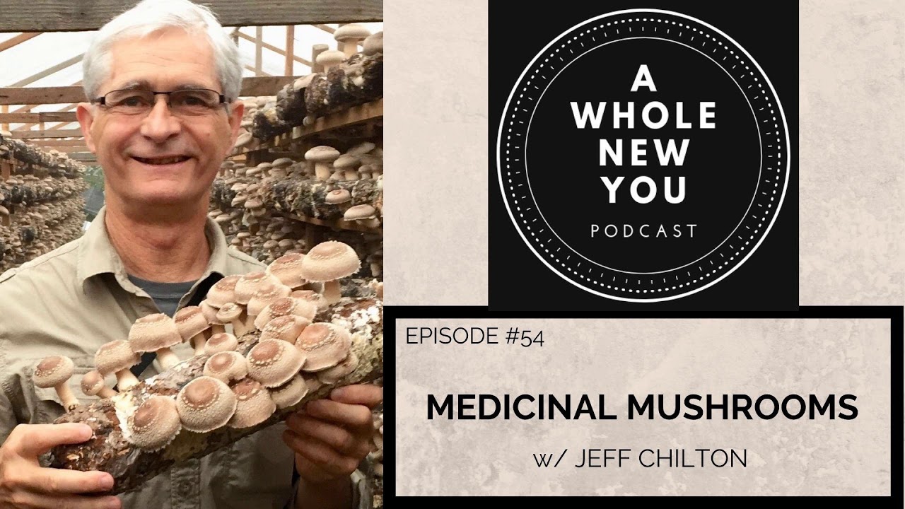 #054: Medicinal Mushrooms w/ Jeff Chilton - YouTube