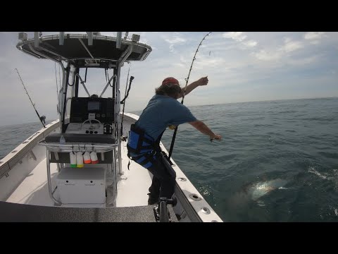400lb TUNA SOLO STANDUP - YouTube