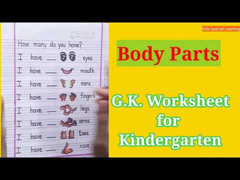 How To Do A Human Body Preschool Homework