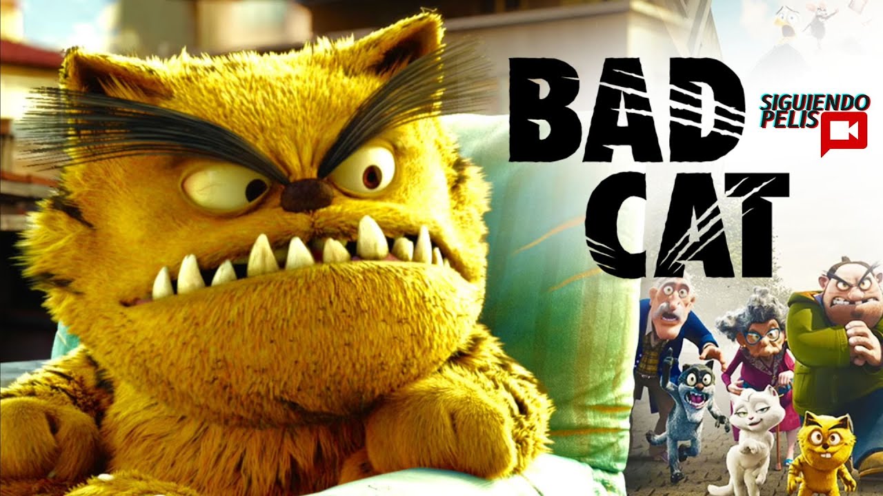 GATO MALO | LA NUEVA MASCOTA DE YOUTUBE !!! | RESUMEN EN 8 MINUTOS - YouTube