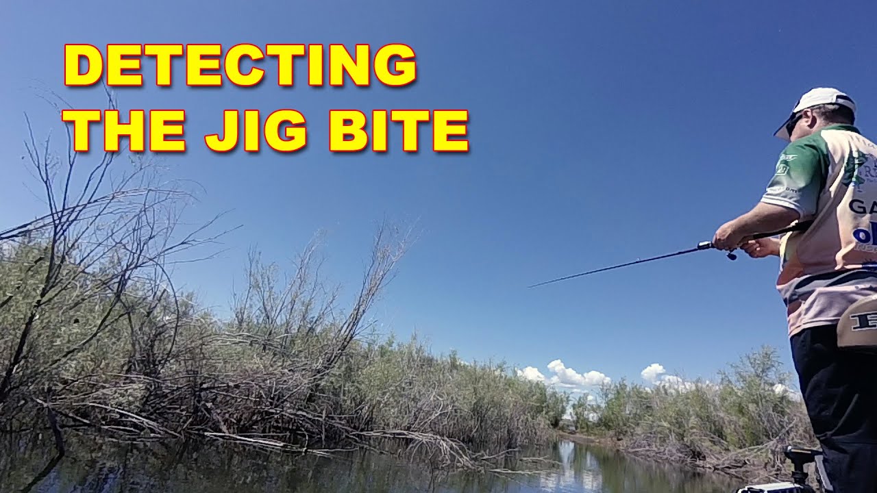 Jig Fishing: Expert Tips for Detecting Strikes | Stop Losing Fish ...