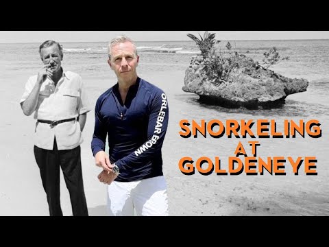 Snorkeling at GoldenEye | Exploring Ian Fleming's Reef - YouTube
