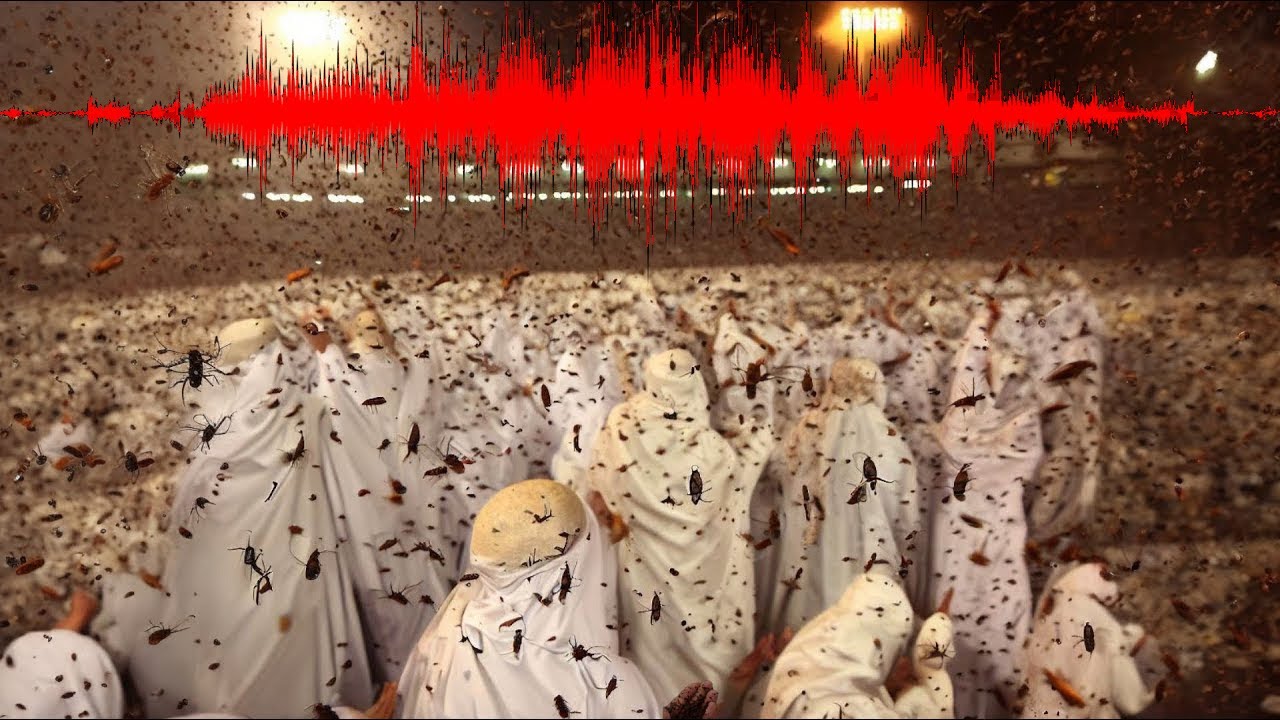 Breaking News! Terrifying SOUNDS and Strange INSECTS Swarm Over IRAQ In ...