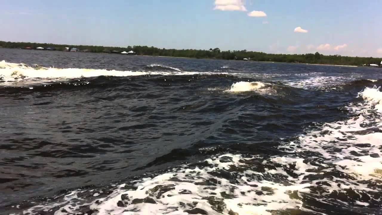 Dolphin queen ~ dolphin cruises : Bear Point Marina Gulf Shores Alabama ...