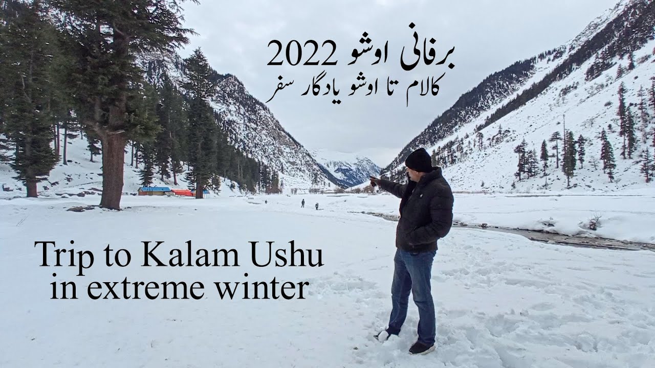 Ushu | Ushu Forest in Winter | Ushu Valley Swat | Kalam Snowfall ...