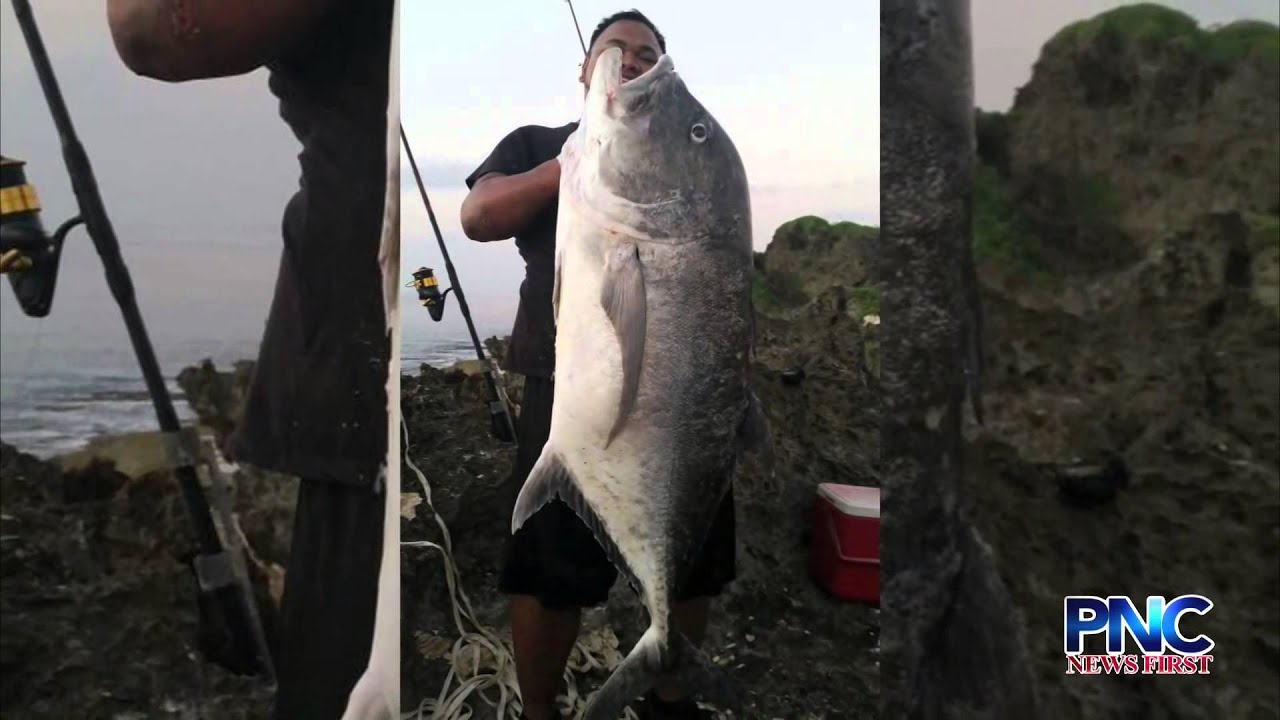 Ed San Nicolas Catches Monster Mamulan or Skip Jack - YouTube