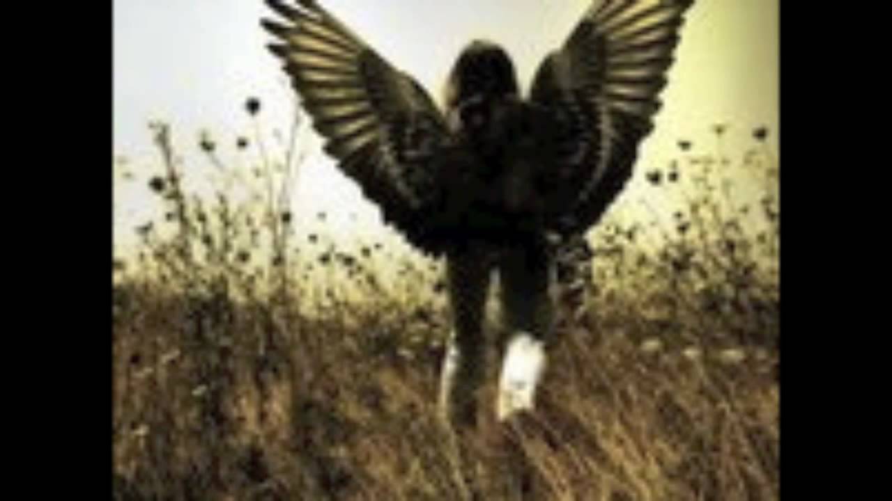 The Exiled Book Trailer - YouTube