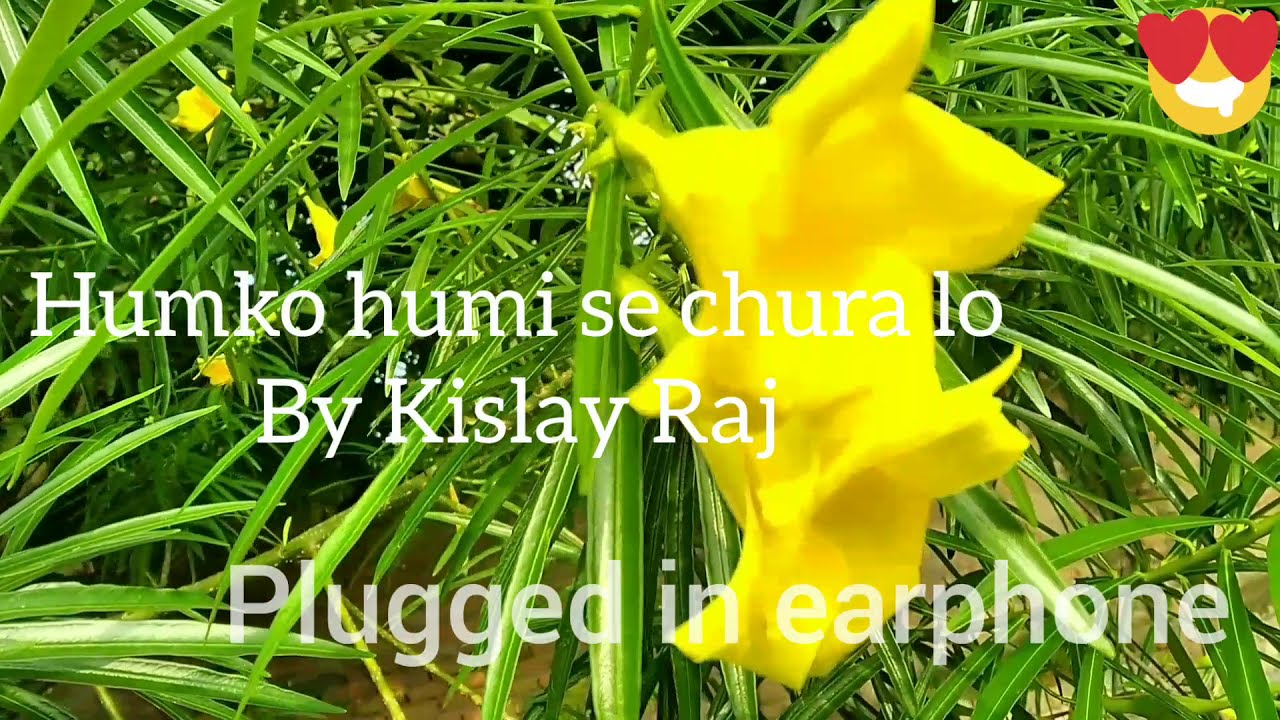 Humko humi se chura lo | plugged in earphone|Kislay Raj|Untrained ...