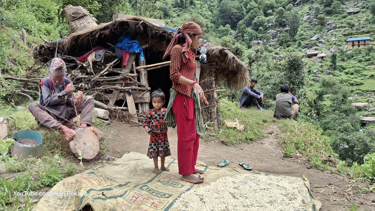 This is Himalayan Village Life of Nepal | Daily Activities of Hari ...
