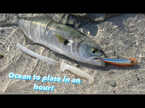 How to catch and cook a fish in an hour! - YouTube