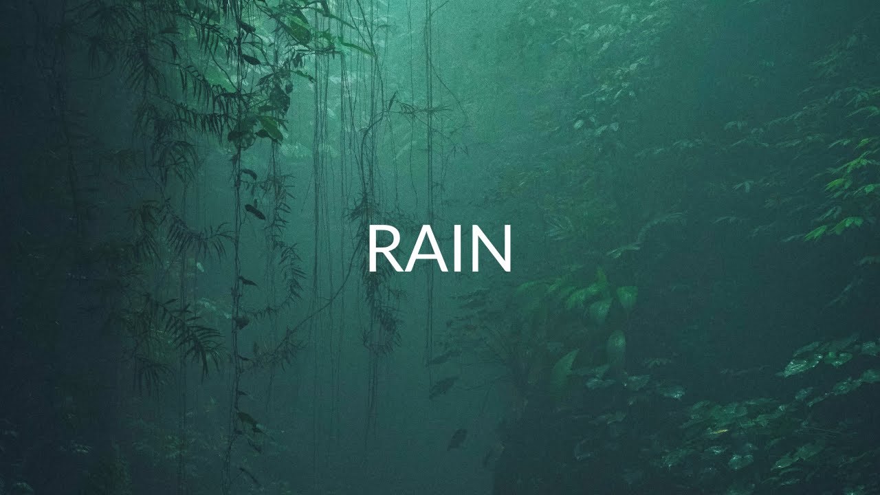 Relaxing Rain Sounds | Calming Rainfall for Sleep, Focus & Stress ...