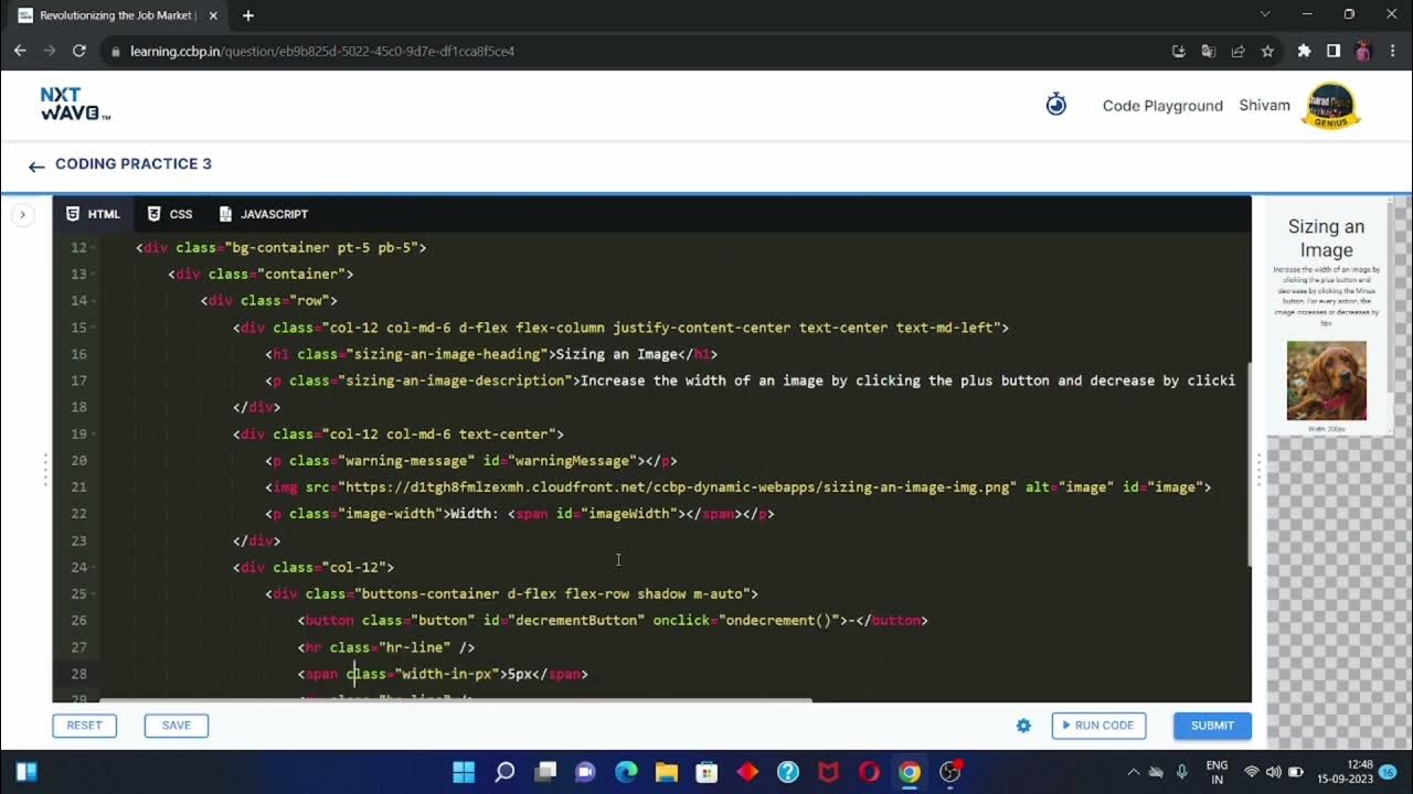 Tip Calculator & Sizing an Image | Coding Practice - 3 | JavaScript | NxtWave CCBP 4.0 - YouTube