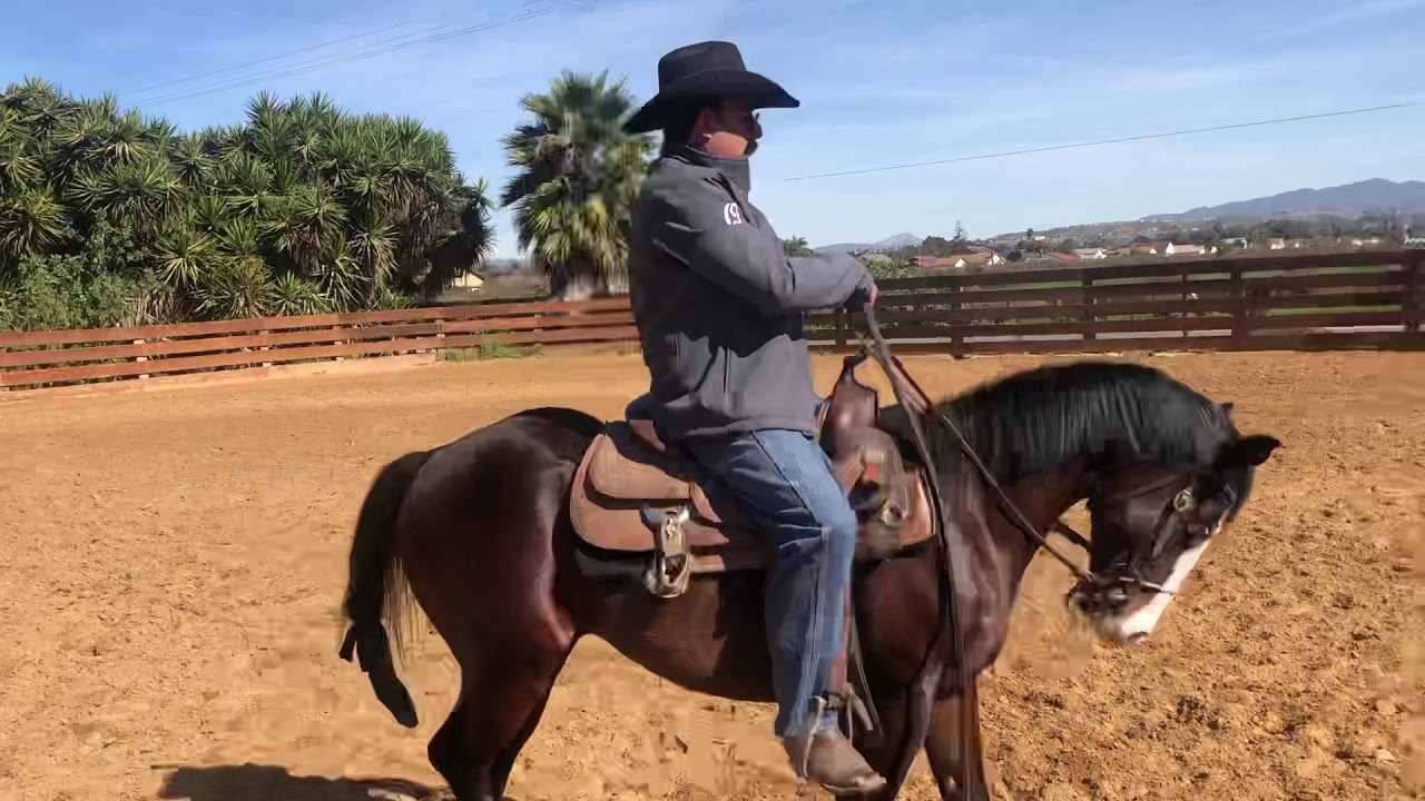 Caballo Charro (inicios) - YouTube