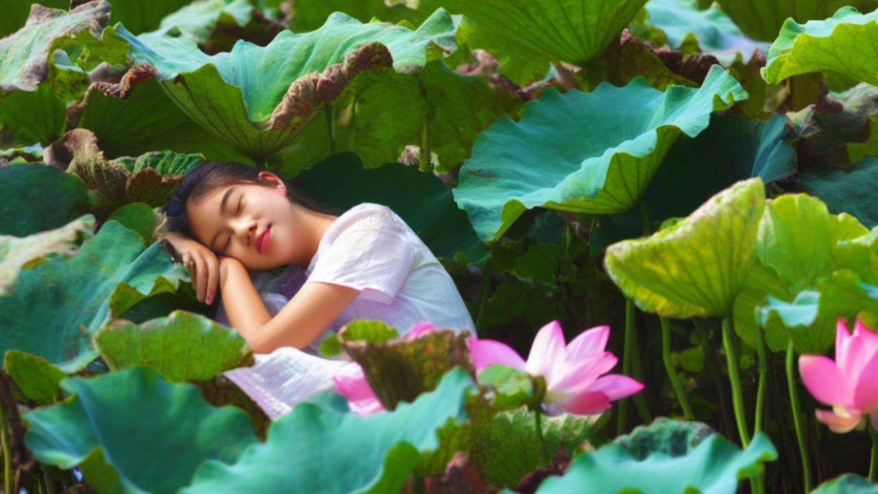 Songs for a new begining - relaxing, peaceful and sentimental piano for ...