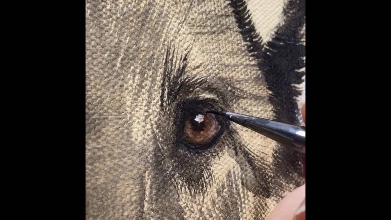 The K9 Hero Portrait Project - Sgt. Beyco Eyes started - YouTube