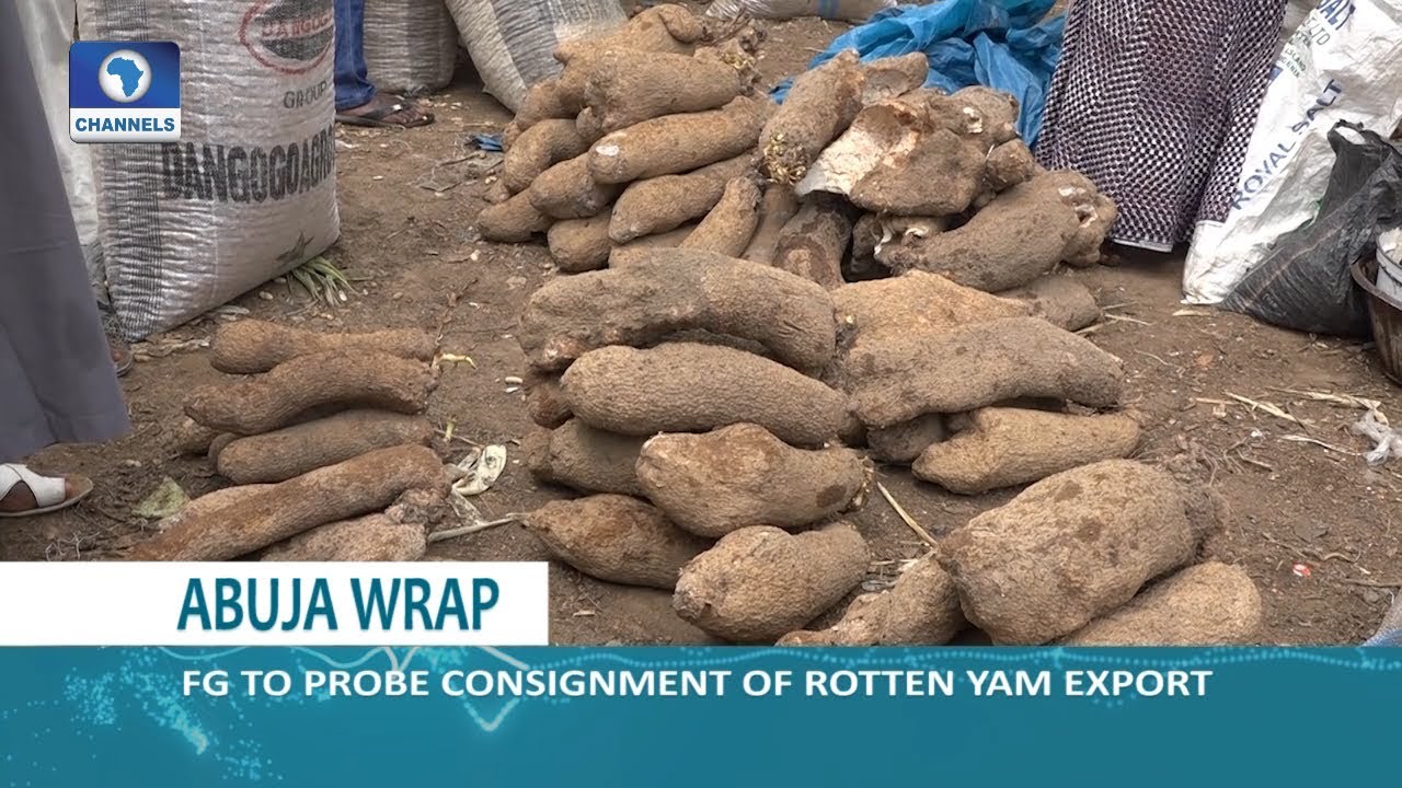FG To Probe Consignment Of Rotten Yam Export | Dateline Abuja | - YouTube