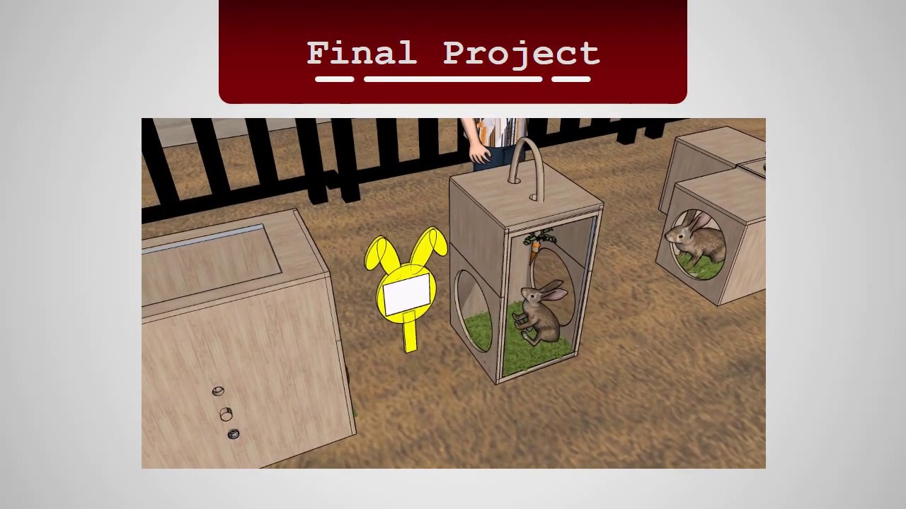 Rabbit Town - Permainan Interaksi Kelinci - YouTube